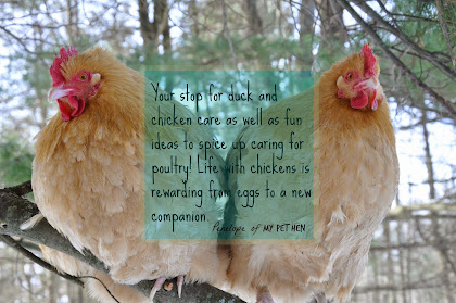 My Pet Hen: Botulism: Causes and Treatment