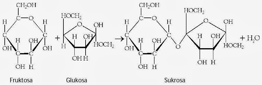 Pengertian dan Struktur Karbohidrat, Contoh, Fungsi, Penggolongan, Kimia