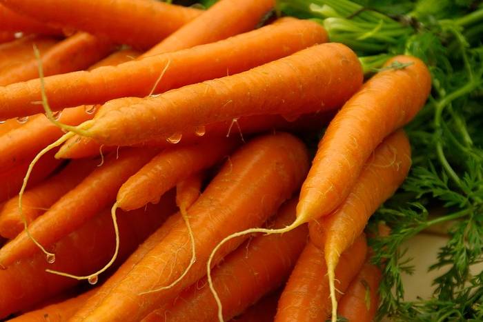 Recepti: DNEVNA DOZA ZDRAVLJA: Evo što će se događati u vašem tijelu ...