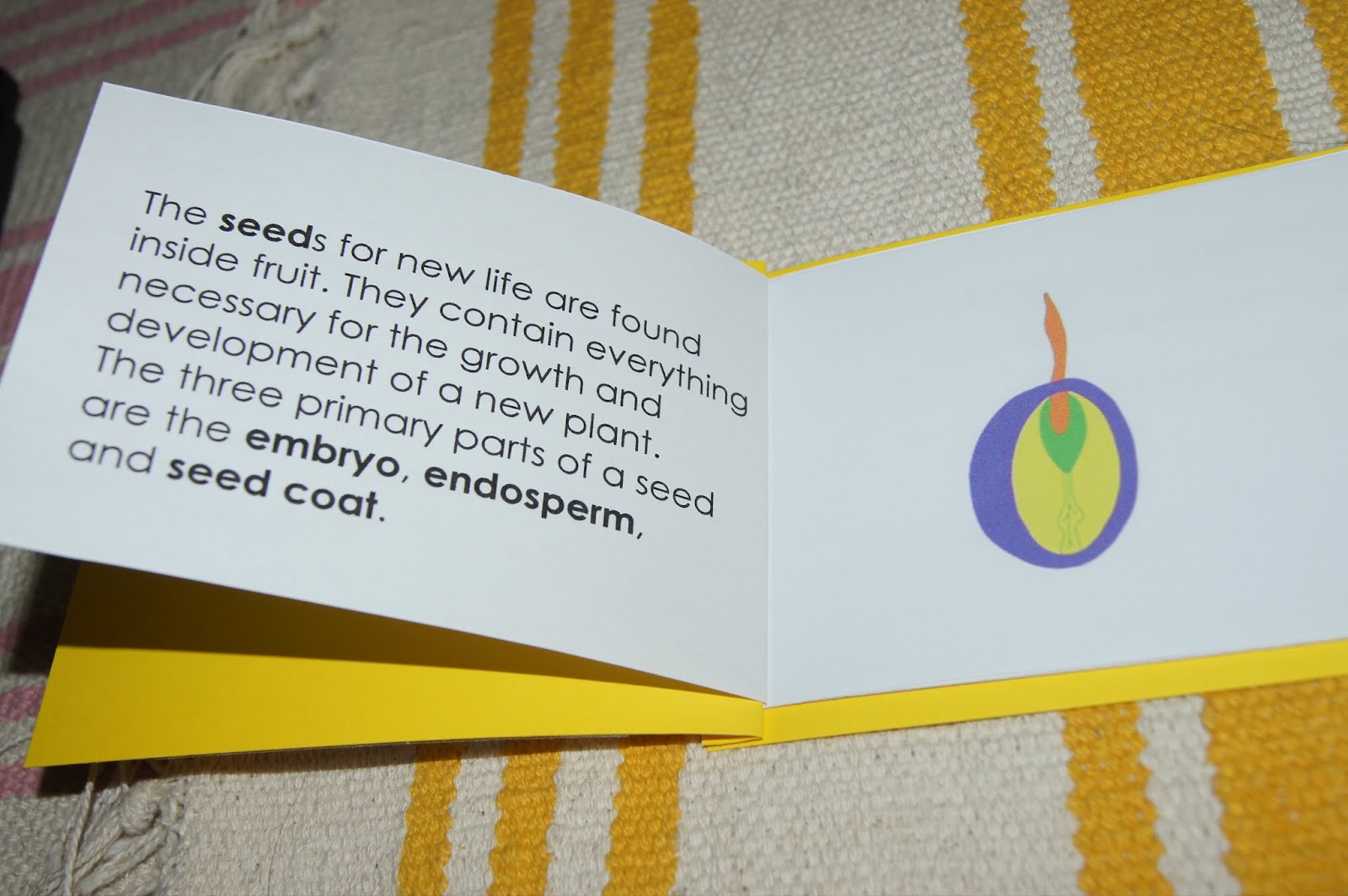 "Making Montessori Ours": Botany 1 - Montessori Botany Puzzle Cabinet Work