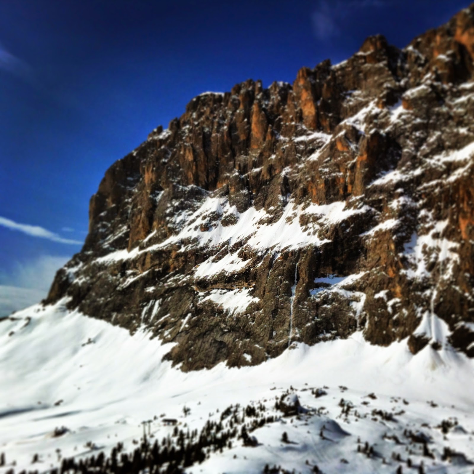 Wife in the Fast Lane: SHAW'S IN ITALIA!