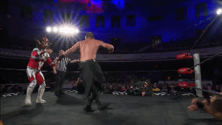 Jushin "Thunder" Liger ♔ Explosive Wrestling Gifs