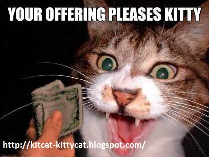Kit Cat Kitty Cat Blog