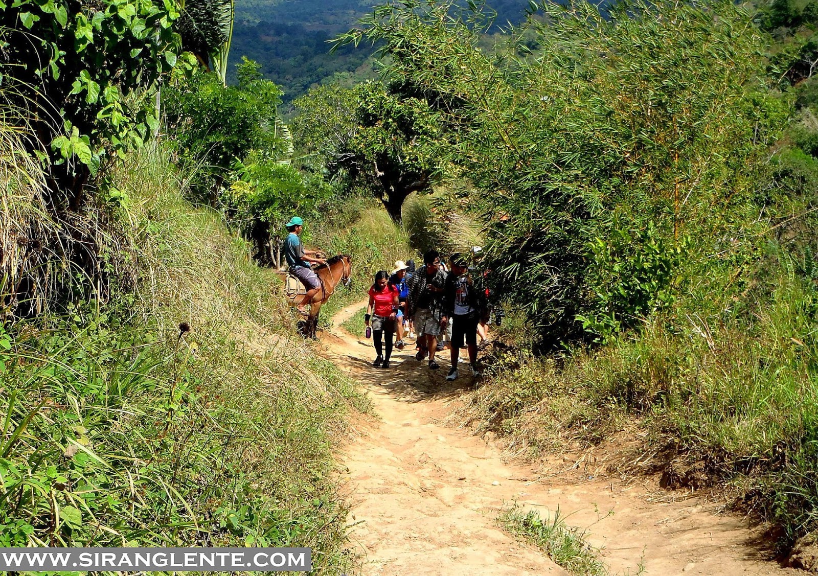 SIRANG LENTE: MT. BATULAO: 2021 HIKING GUIDE | BATANGAS TOURIST SPOTS