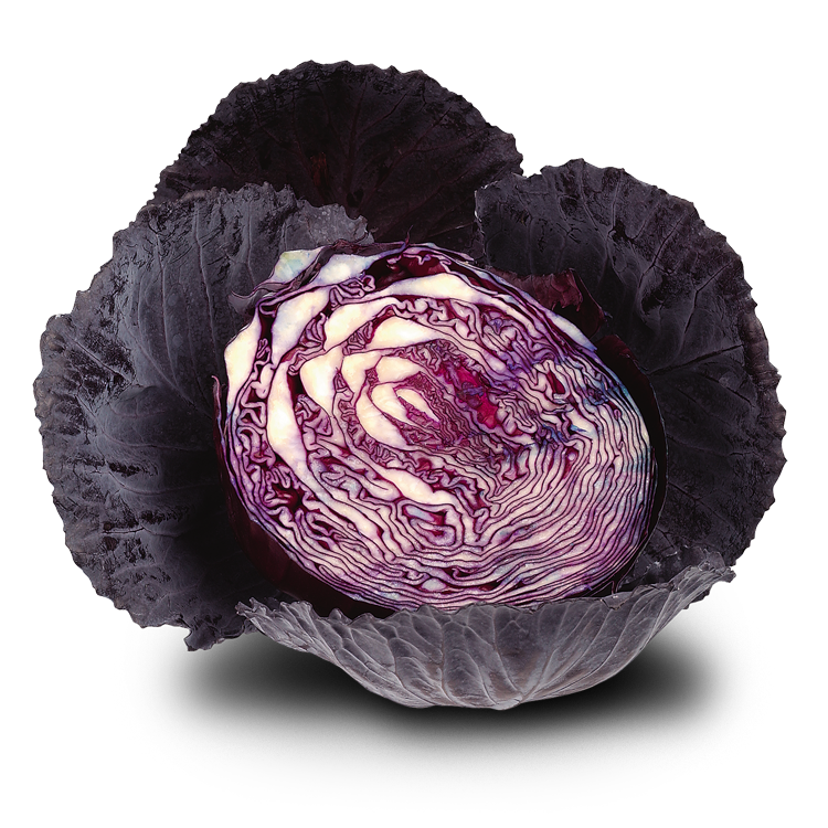 nele's hoekje: hartige rode kool-taart