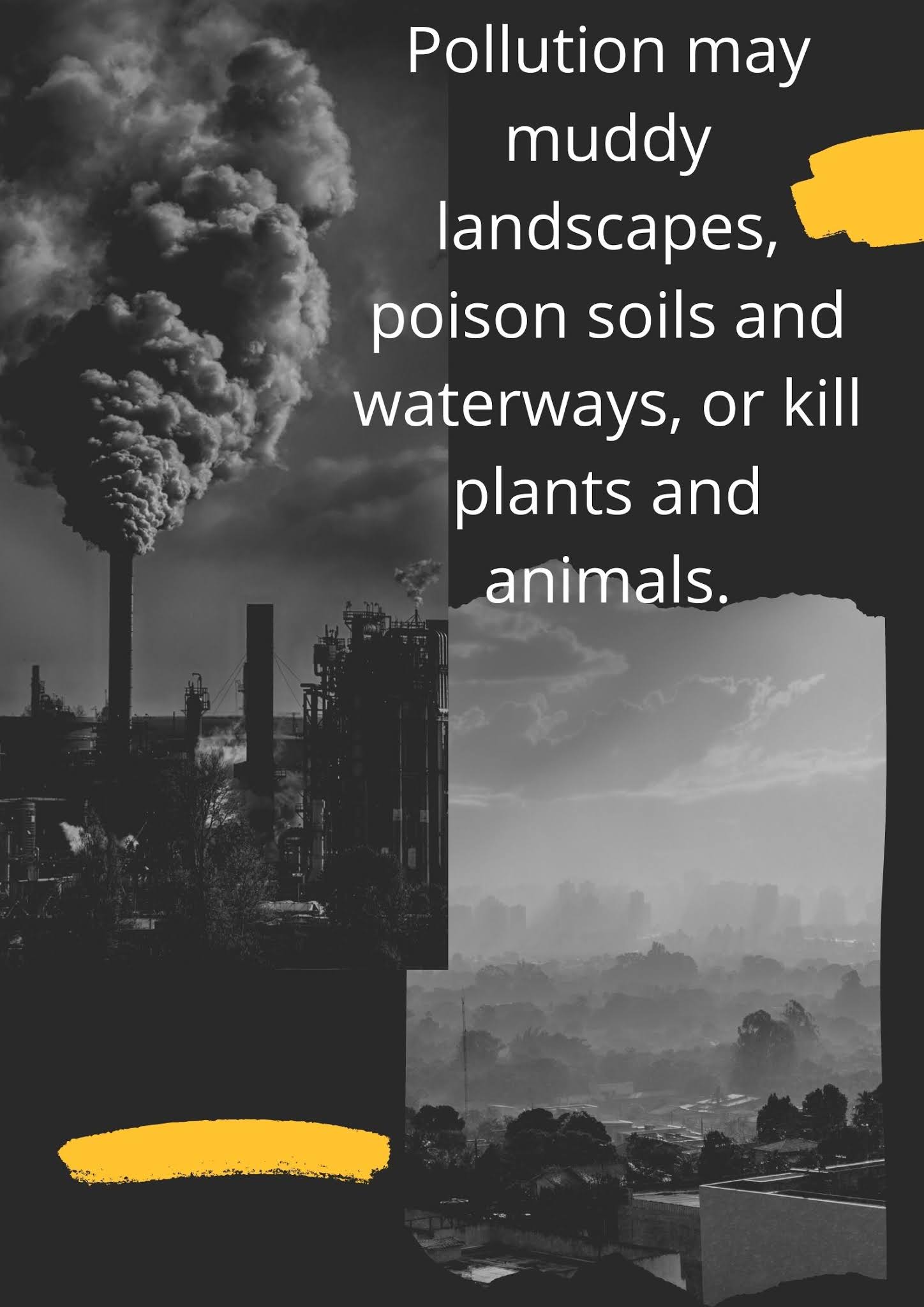 Pollution | Types, causes and effects of pollution | different ways to ...