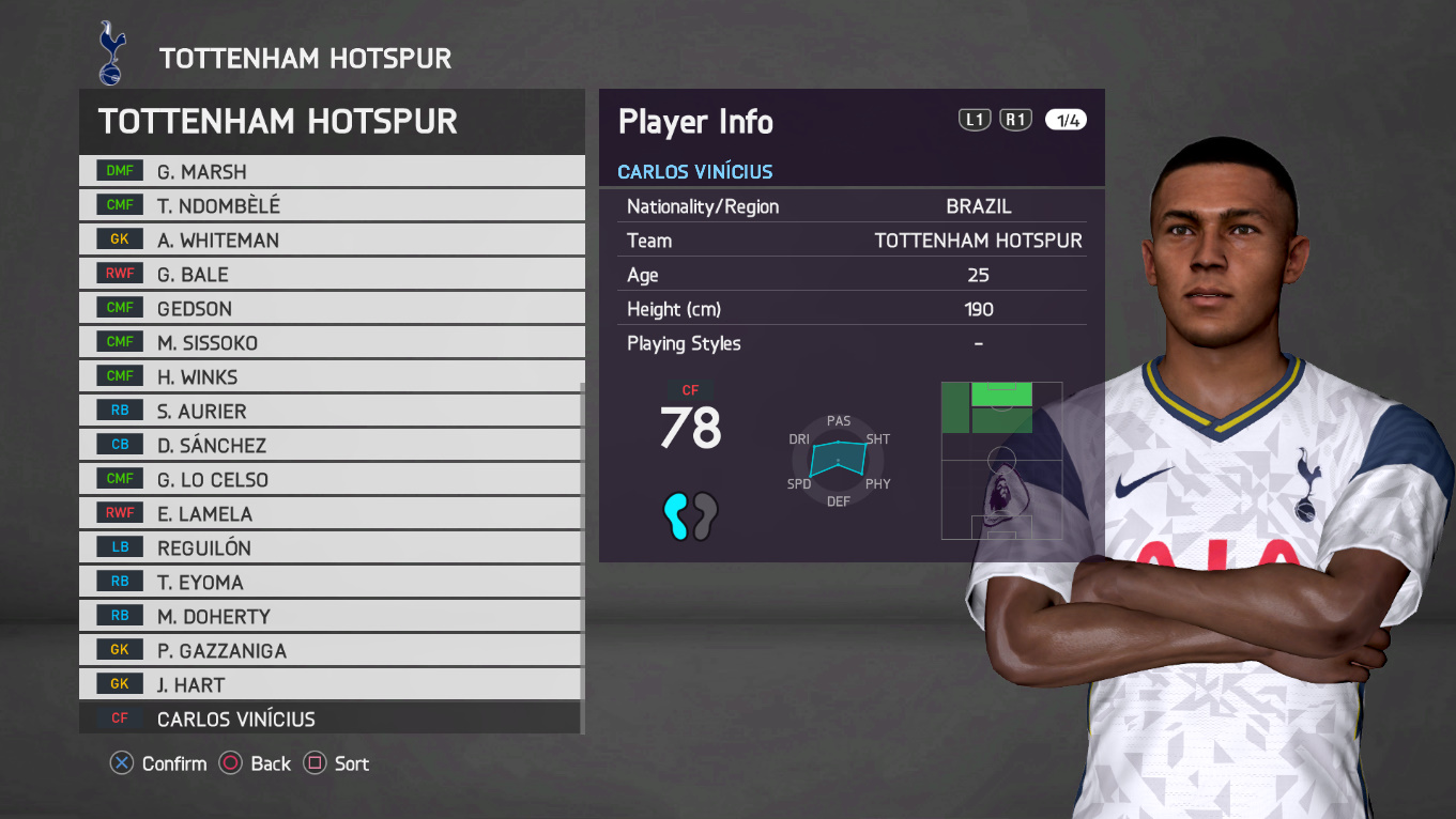 Pes file software - netnw