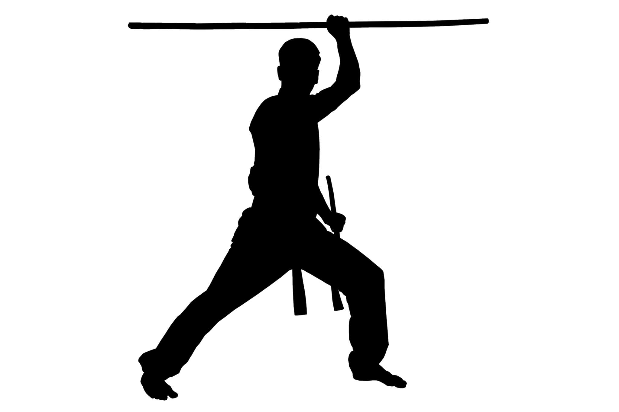 Panchabootha International Martial Arts Academy: Silambam Clipart , vector