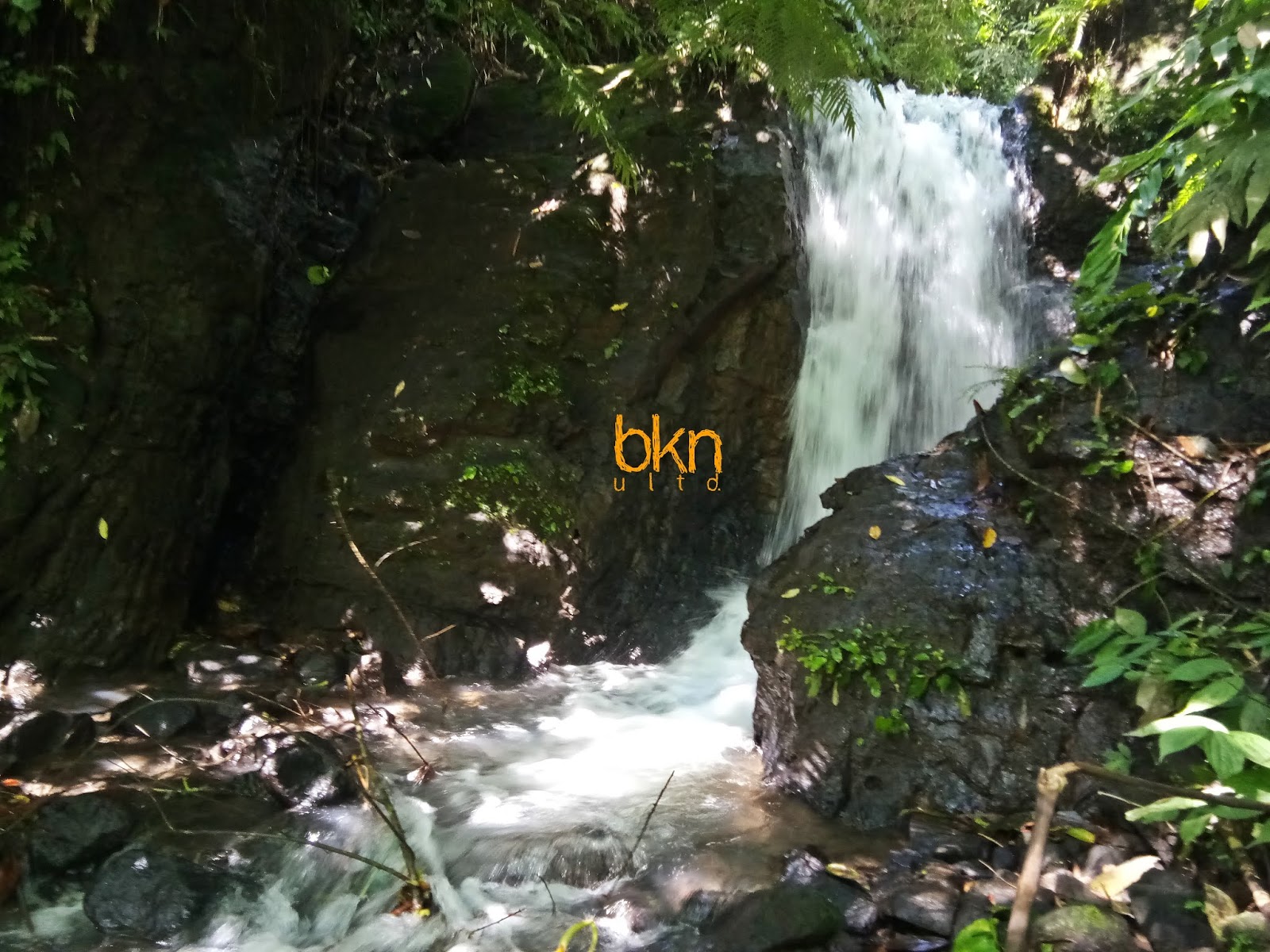 TREKERO: BUGWAK: The Watery Barangay of Dangcagan, Bukidnon
