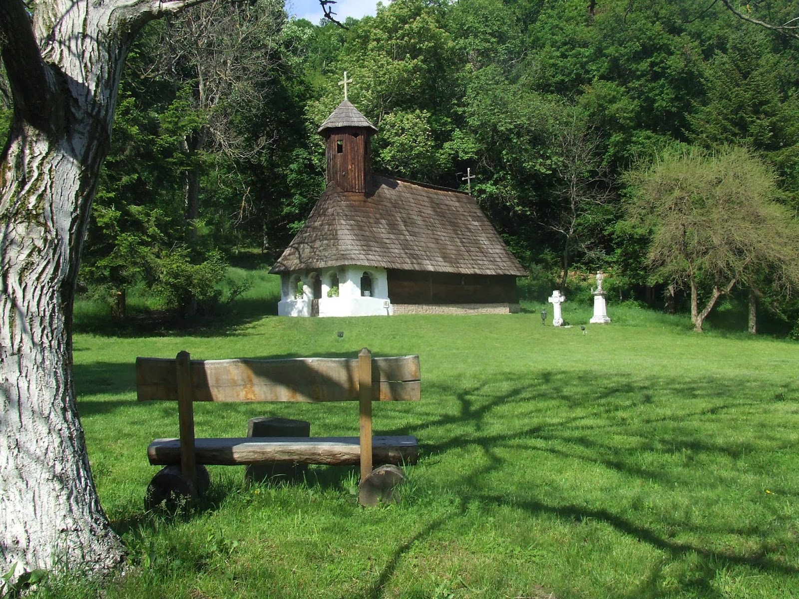 MONUMENTE ISTORICE DIN ROMANIA : Conacul Nicolae Balcescu