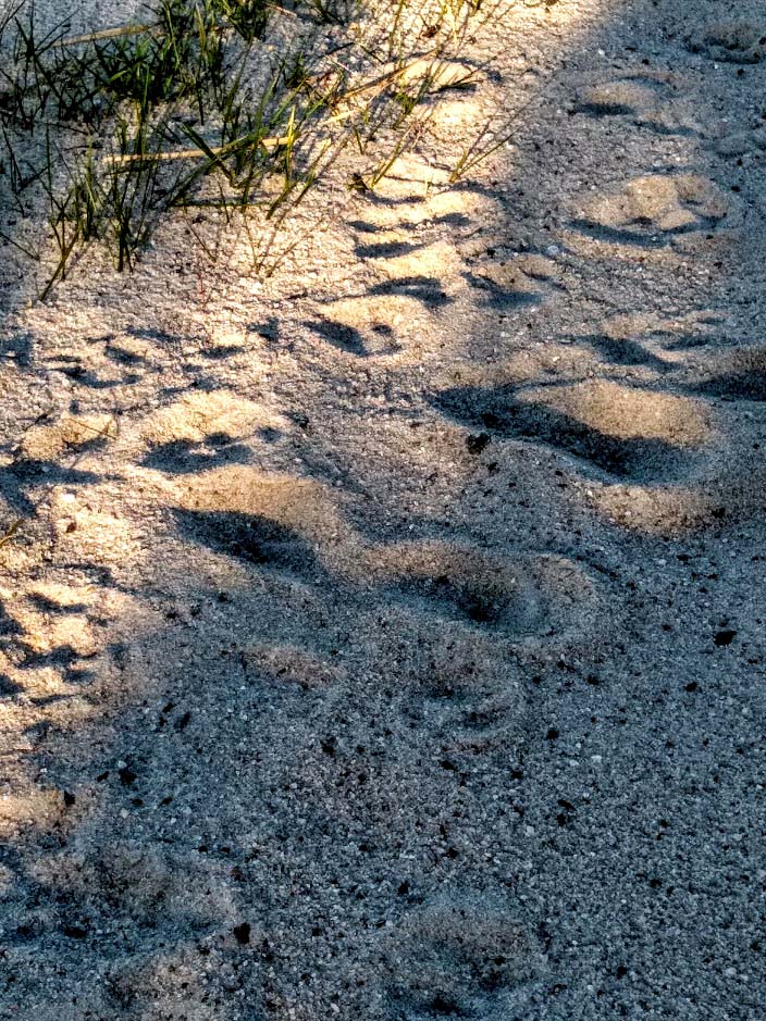 Cottage by the Sea : Bay Views