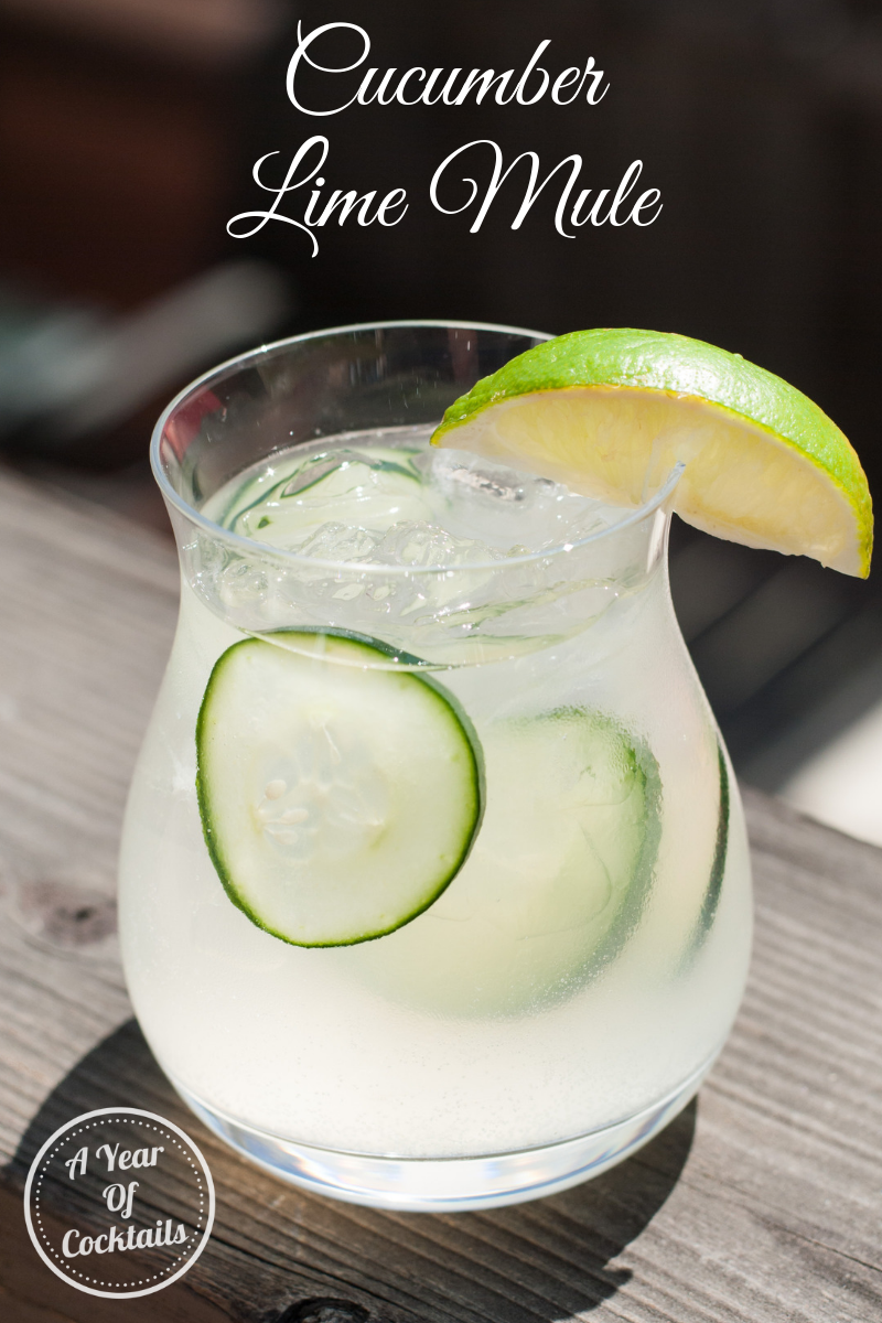 2 New Non-Minty Flavored Mules - A Year of Cocktails