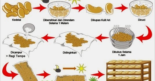 D'Muji Corner: PEMBUATAN TEMPE