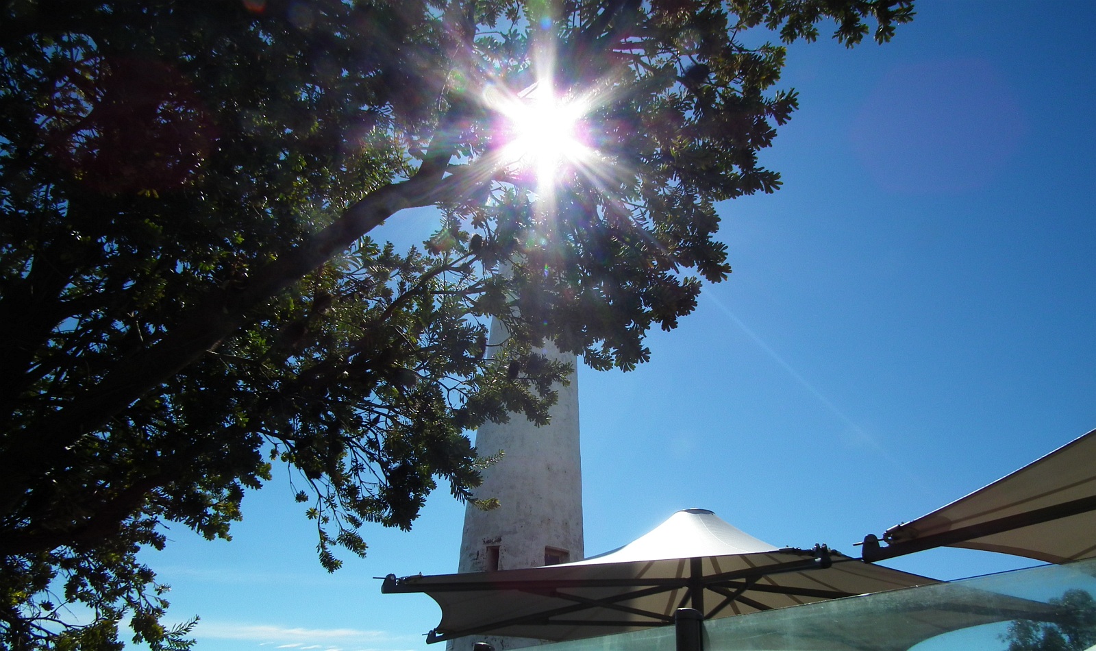 Meander to the Max: Mount Lofty Summit and Windy Point: best Adelaide ...