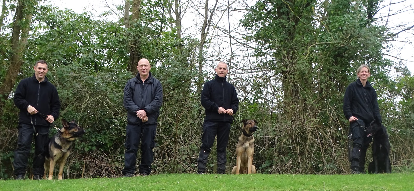 Cornwall, Devon and Dorset Police Dog Section: Ronnie, Nato and Lenny ...