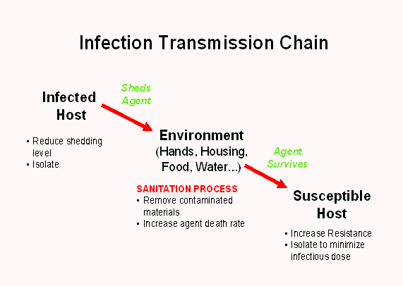 How is the spread of infectious diseases? - WhatDisease