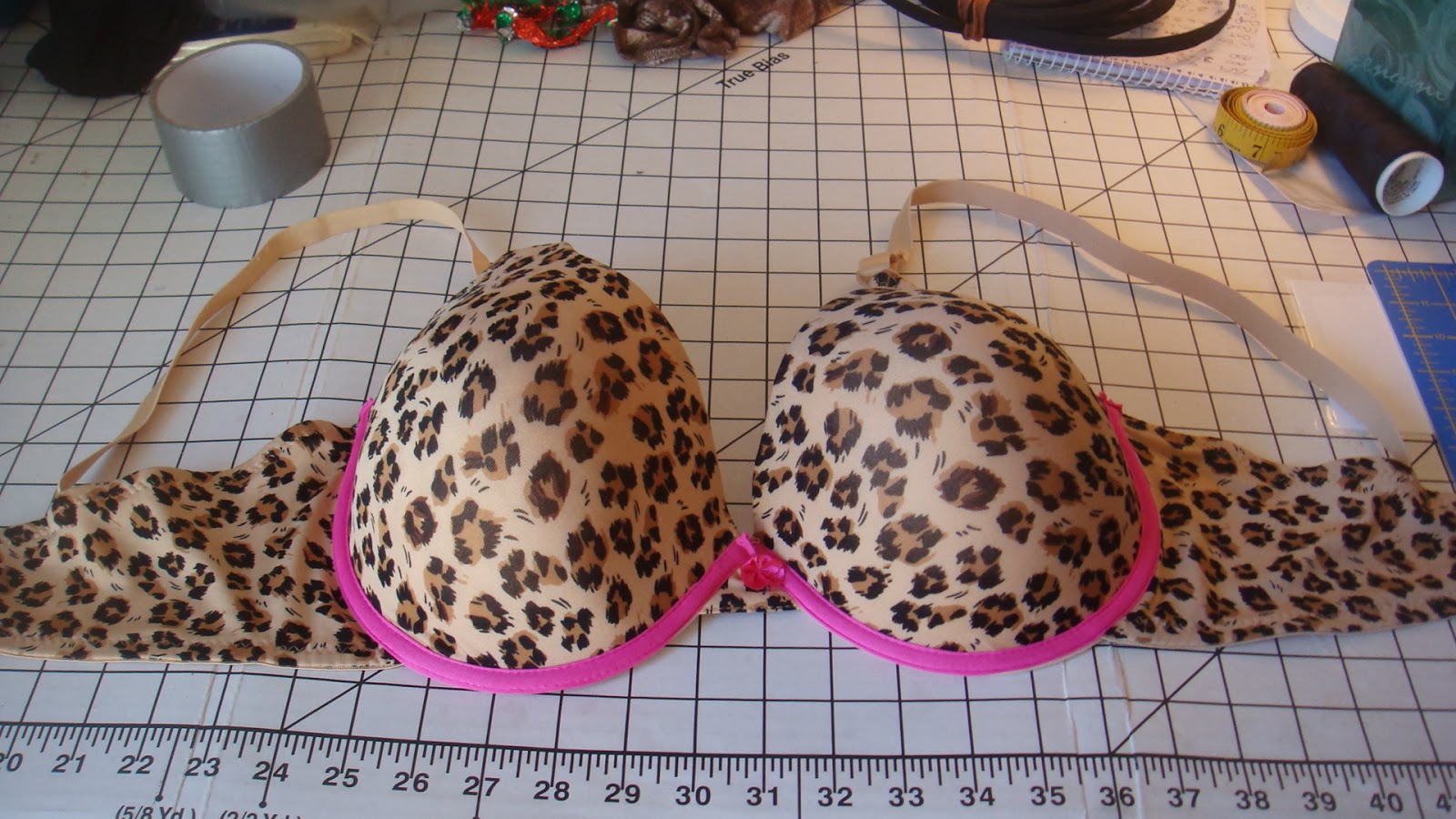 2 Plus Size Sisters in Small Size World: Customizing bras