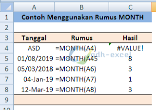 Cara Memakai Rumus Month Dalam Microsoft Excel | panduan bisnis online