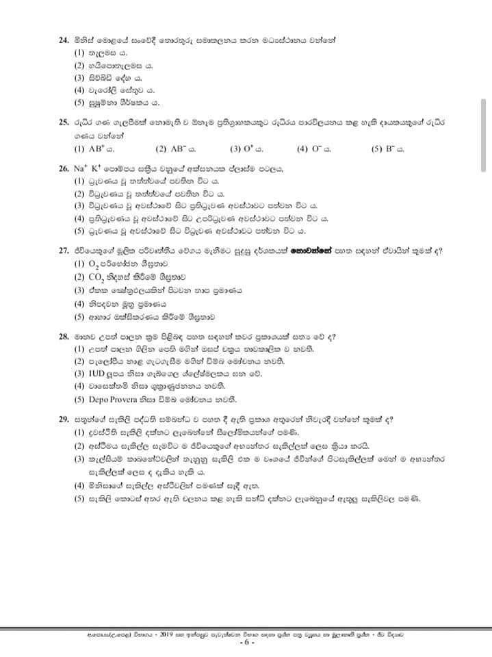 Biology Question Paper Structure Multiple Choice And Essay Questions biology-question-paper-structure-multiple-choice-and-essay-questions