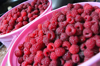 SISTERKINS: Making Homemade Raspberry Wine
