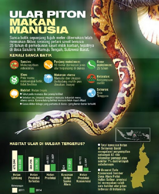 Kenali Jenis Ular Sanca Batik - PERNAK PERNIK