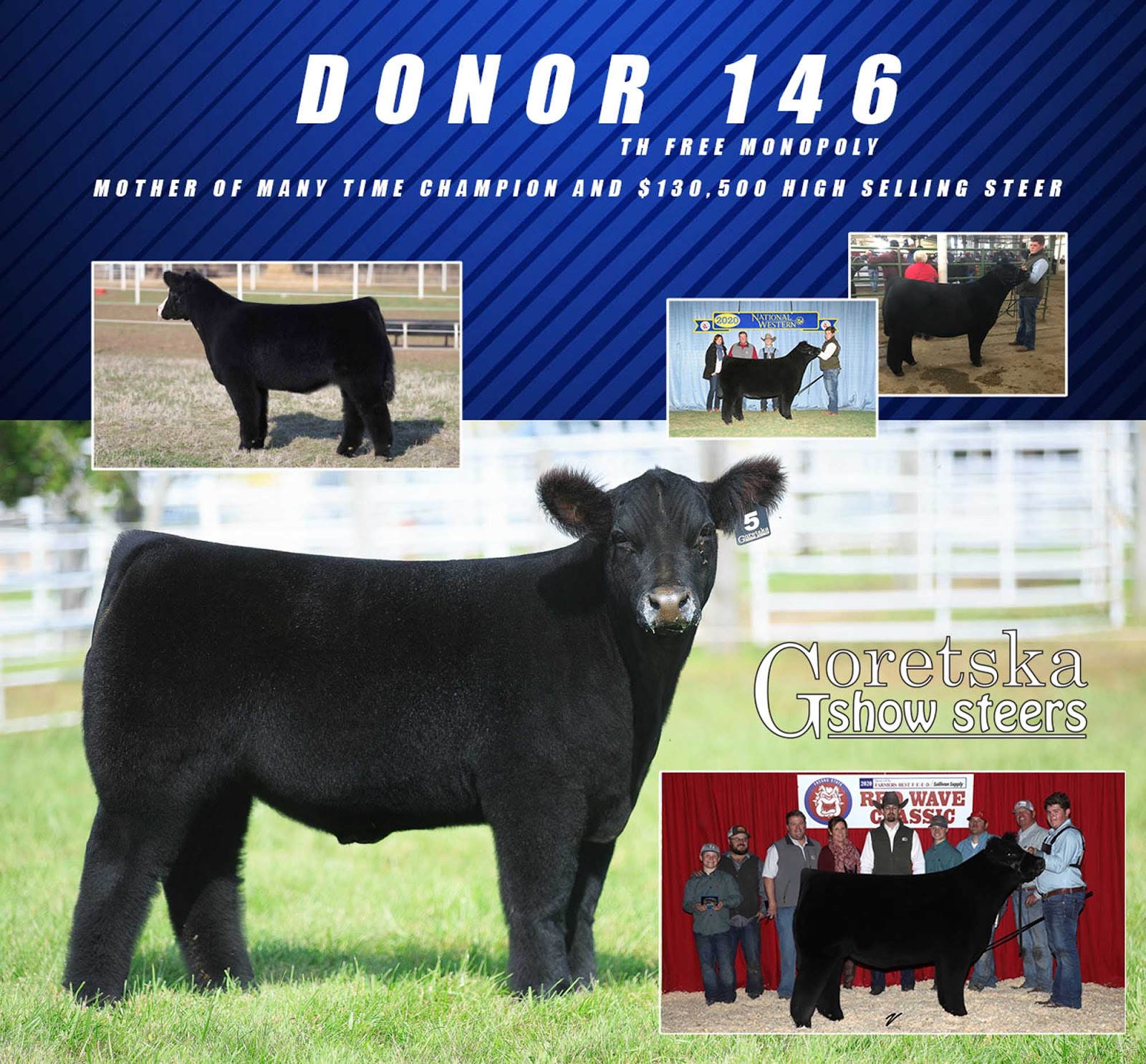 RCC Blog: GORETSKA EMBRYO SALE TONIGHT ON STEERBIDDER!