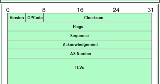 Eigrp Packet Format
