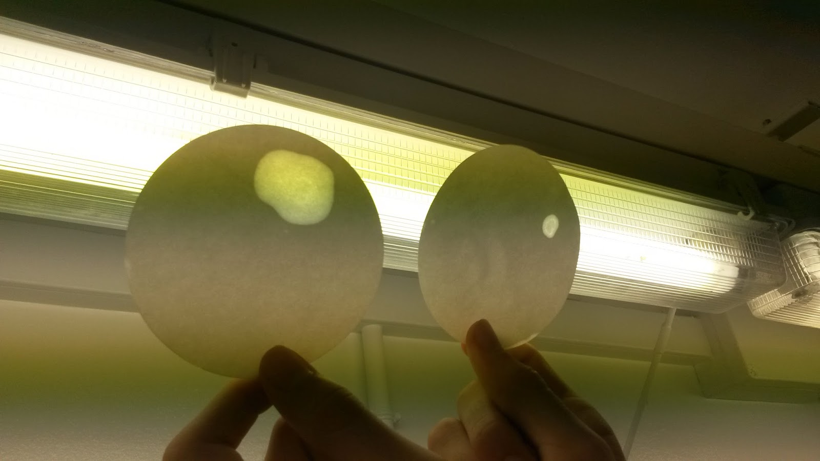 Roger's Science Lab blog : de novembre 2015