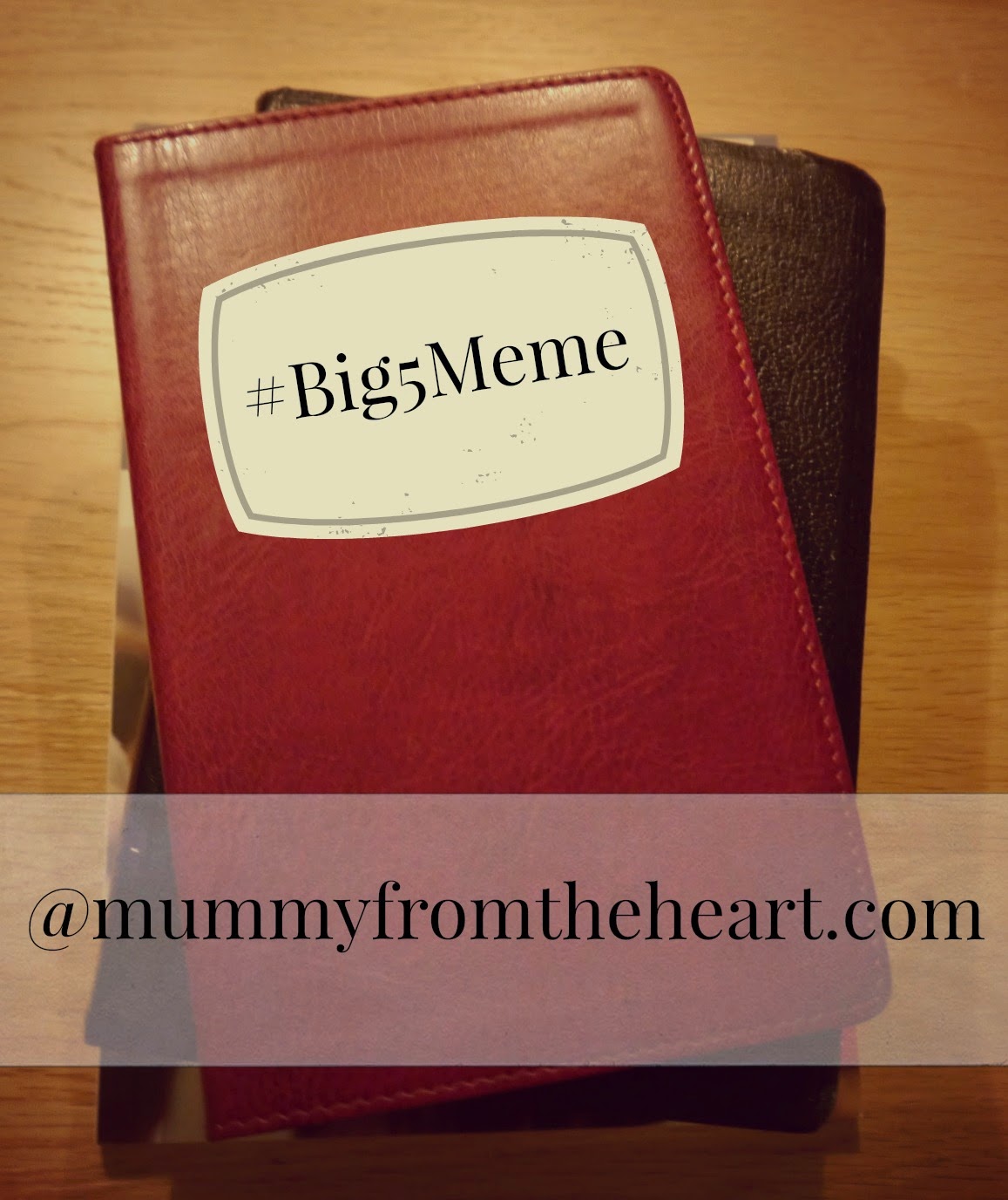 Mummy From The Heart: The Big 5 Meme – Life lessons you want your kids ...
