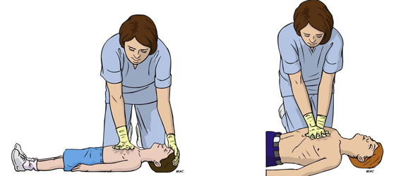 Seguridad y Bienestar Infantil I: RCP en bebés, niños y adultos