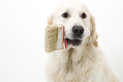 Life Is What You Make Of It: Changes continue...