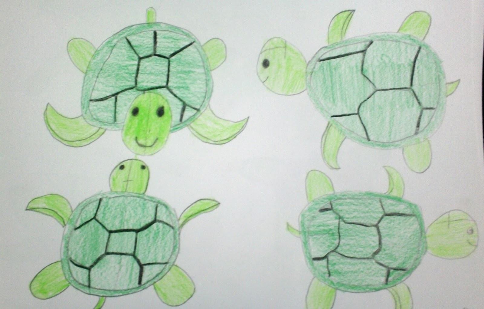 Art With Mr. E: Turtley Points of View/Perspective: 4th Grade