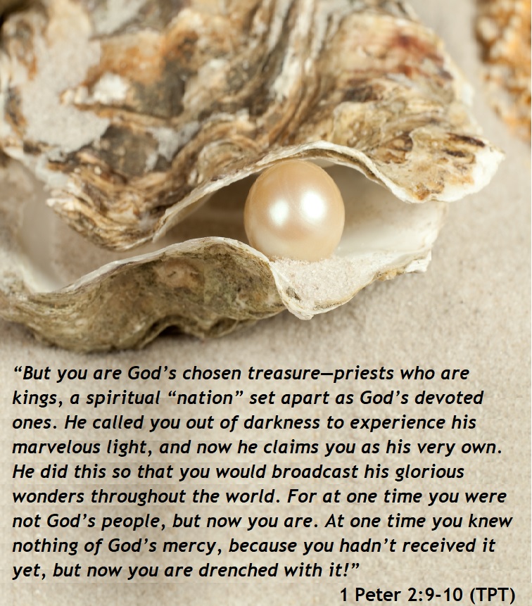 Morning Musings you Are God s Chosen Treasure 1 Peter 2 9 10 TPT morning-musings-you-are-god-s-chosen-treasure-1-peter-2-9-10-tpt