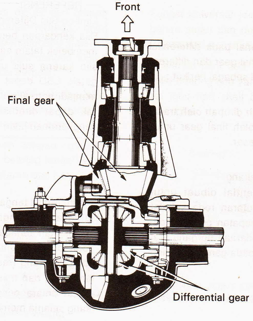 Automotive Education: Differential