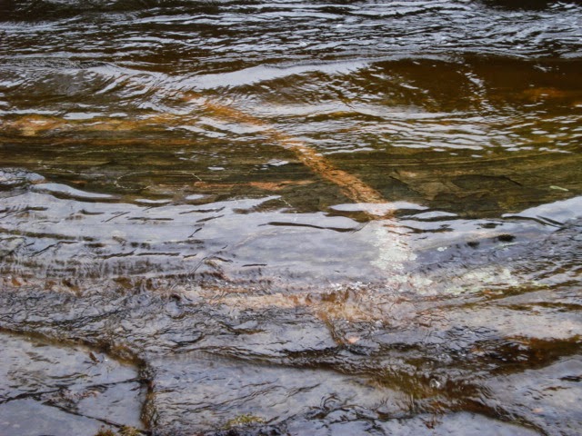 The Bracebridge Photo Project: Spring Along the Muskoka River @ Bass Rock