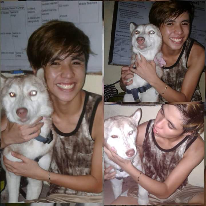 Asong gala at galisin noon, isang napakagandang aso na ngayon - The ...