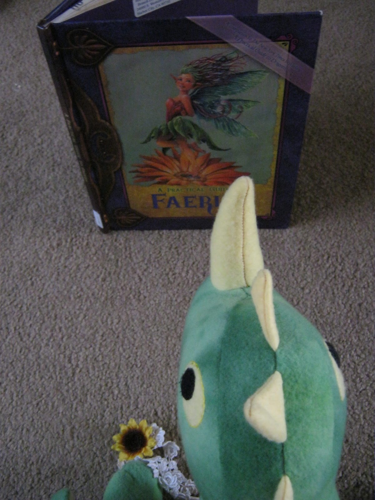 Charlin At The Library: A Practical Guide to Faeries