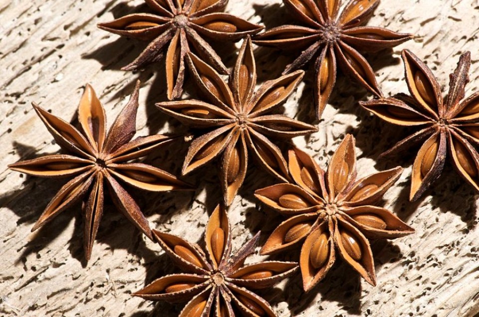 7 Macam Tanaman Rempah Khas Indonesia - Borneo '92