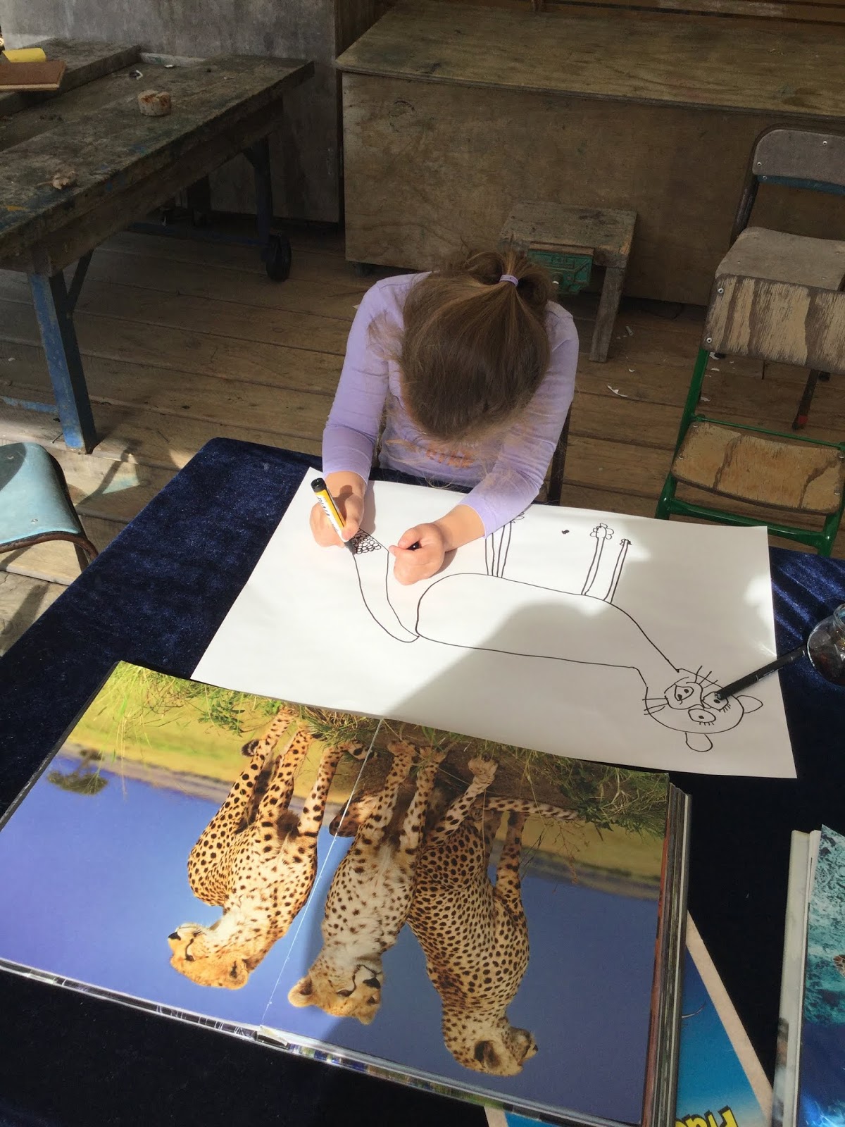 Mairtown Kindergarten: Children's inquiry into endangered animals.