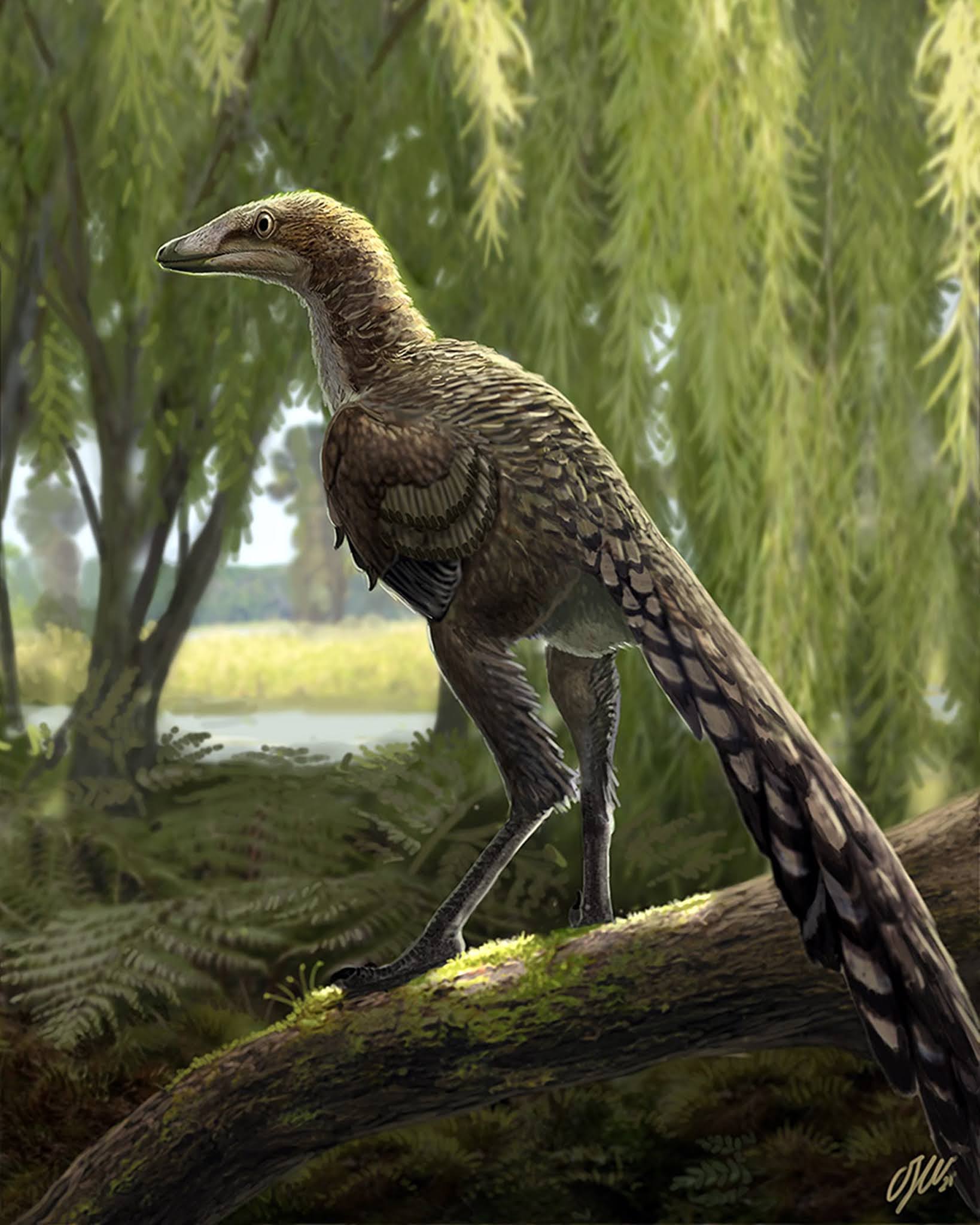 Species New to Science: [Paleontology • 2021] Tamarro insperatus • A ...