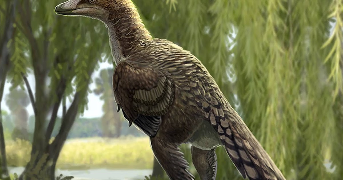 Species New to Science: [Paleontology • 2021] Tamarro insperatus • A ...