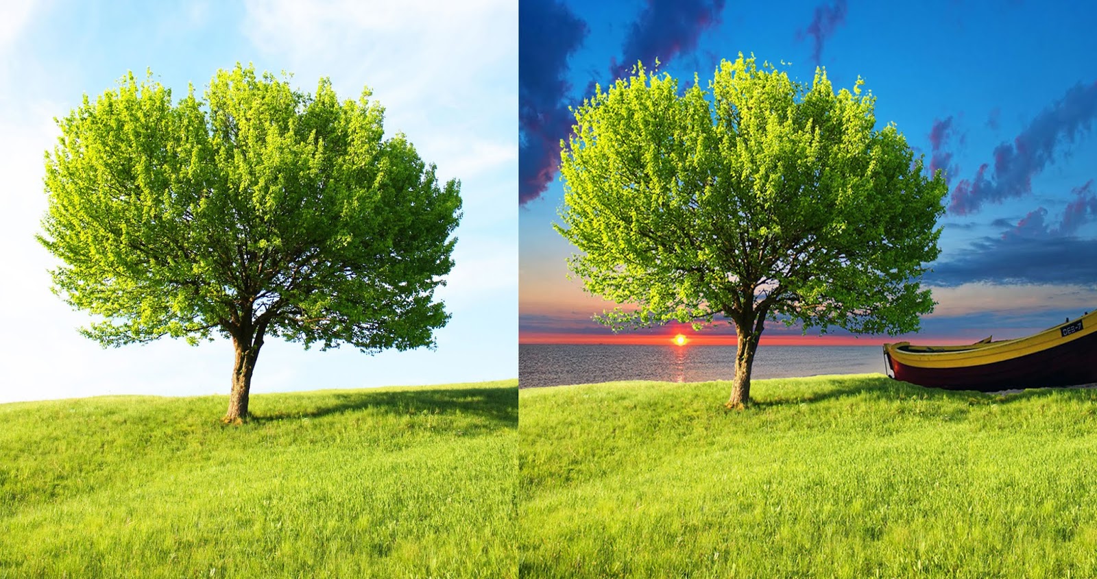 Photo Clipping Service Provider How To Create Alpha Channel In Photoshop photo-clipping-service-provider-how-to-create-alpha-channel-in-photoshop