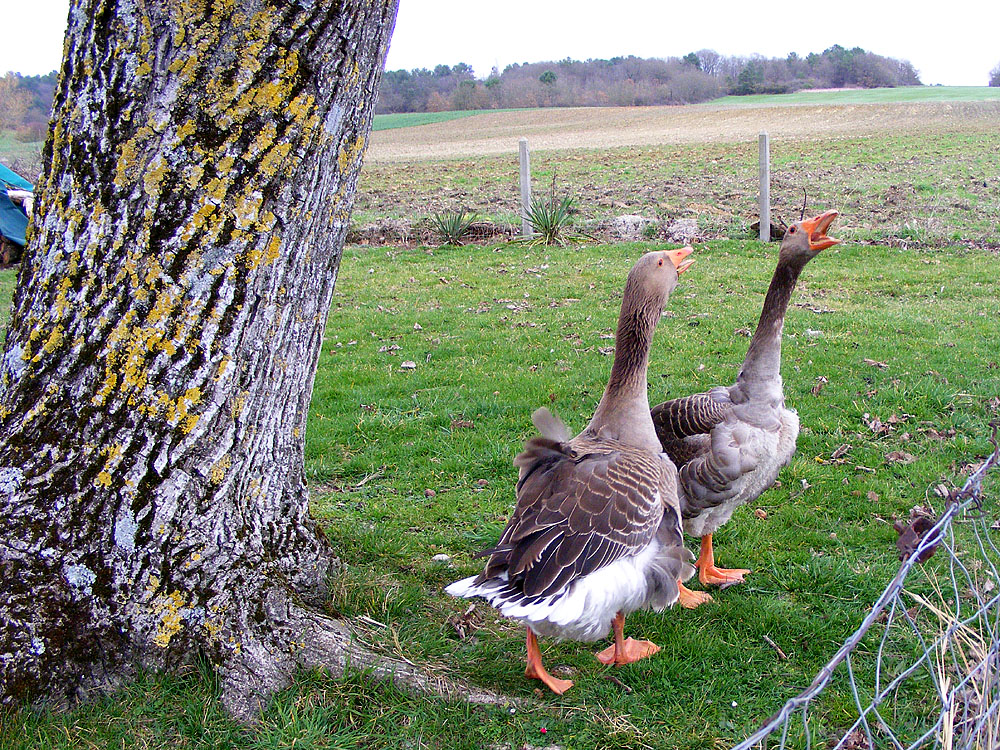 Days on the Claise: Inter-Club Walking