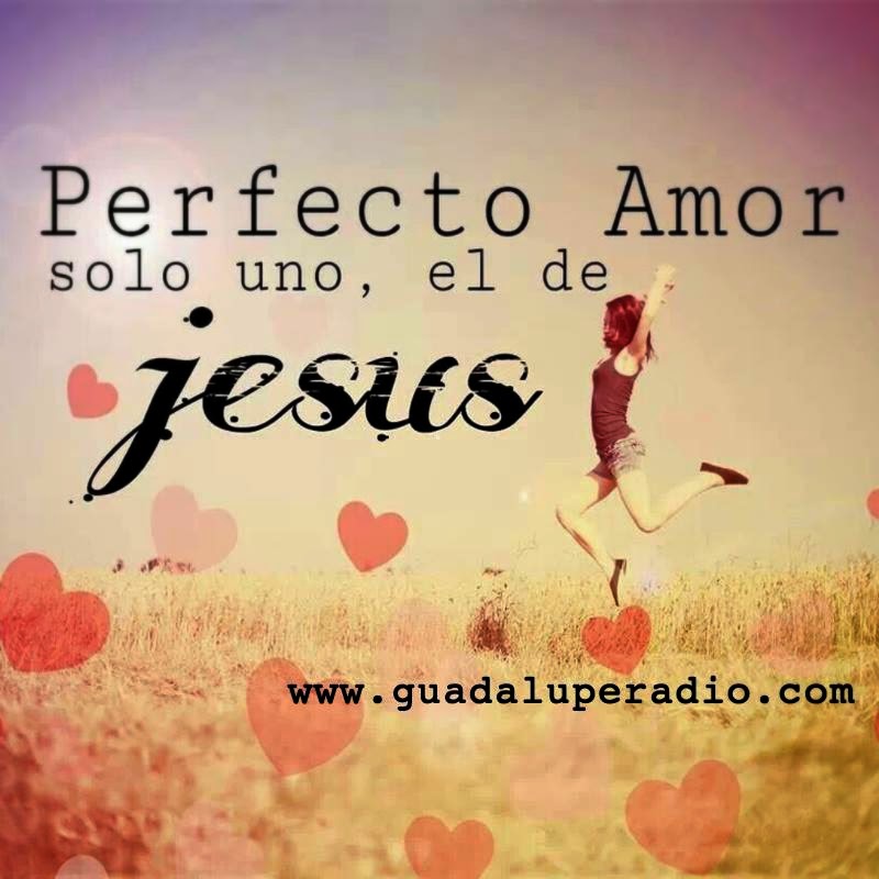 Frases Bonitas Para Facebook: El Amor Perfecto