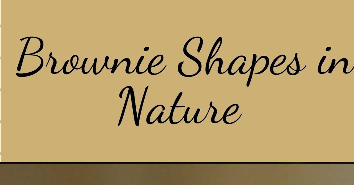 A Girl Scout Leader's Journal: New Badge Review: Brownie Shapes in Nature