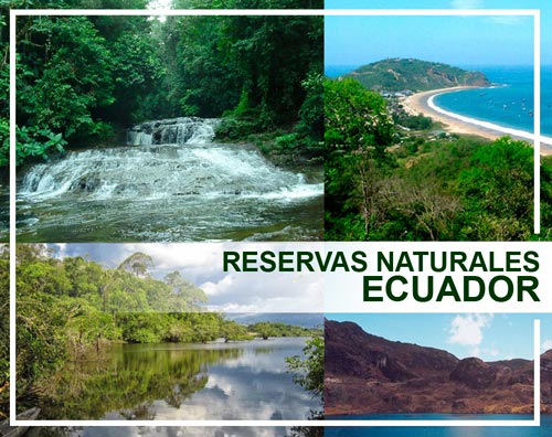 La ciencia de la sociedad: los bosques, los parques nacionales y las ...