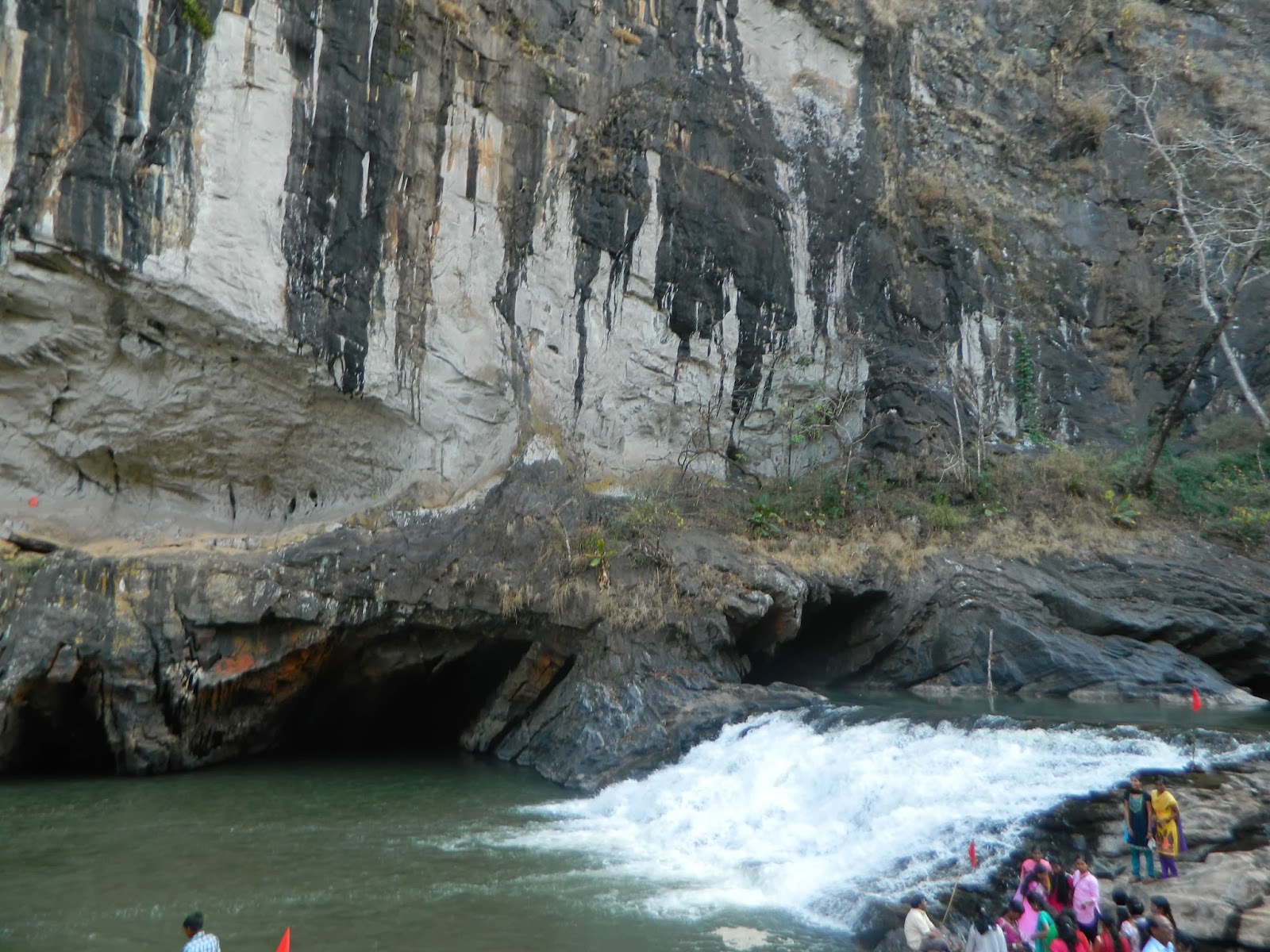 Just Saying......: The river and the forest - Dandeli