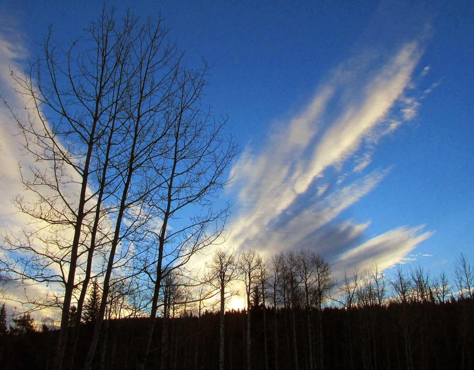 The Passionate Hiker: Ranger Hill Circuit