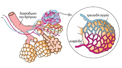 eribiology