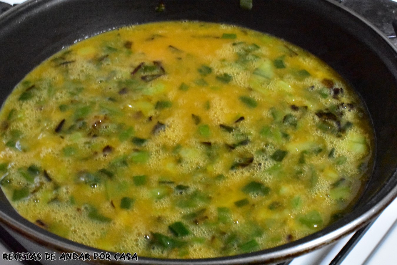 Recetas de andar por casa.: Tortilla de rabo de cebolla tierna